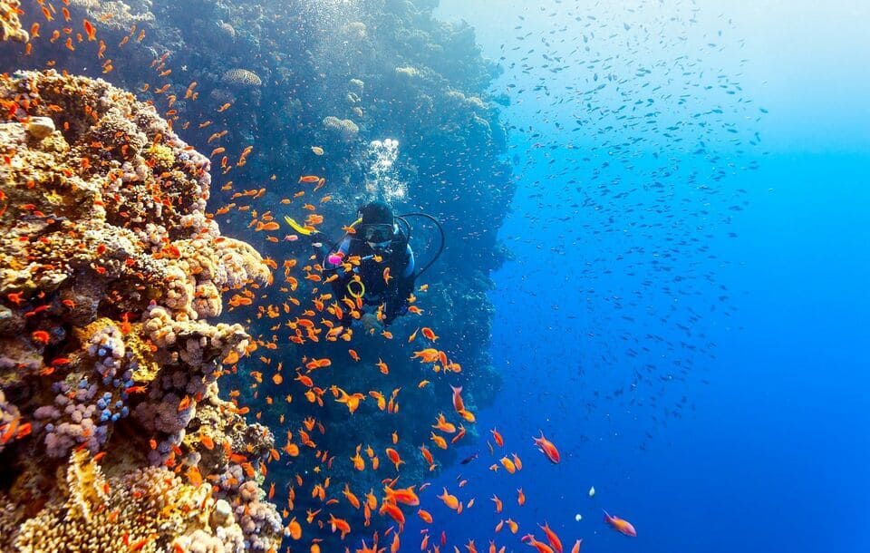 Transportation – Regal Tours